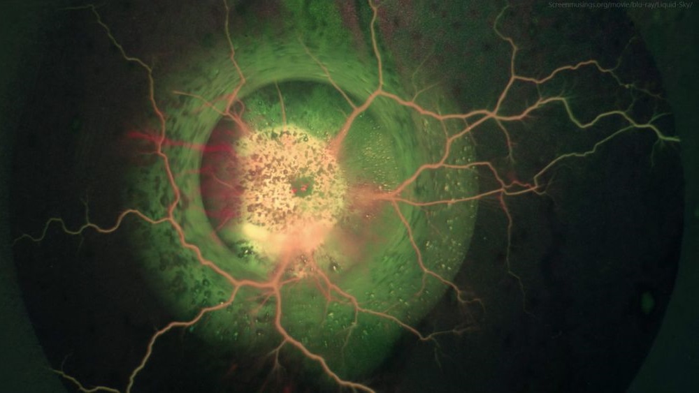 LIQUID SKY. There’s No Other Film Quite Like It