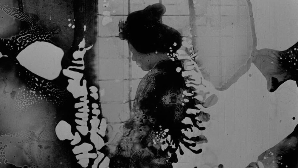 DECASIA. Study of Decay, or a Film Without Script, Plot, or Dialogue